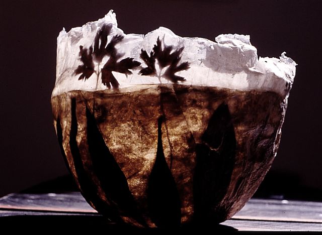 compass galleryFrances Pelly RSA - compass gallery